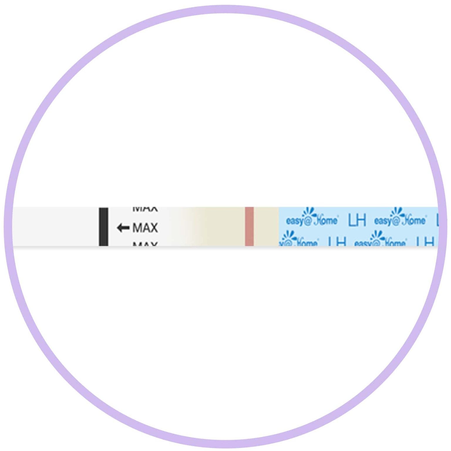 Easy@Home Ovulation Test Strips to Predict Fertility