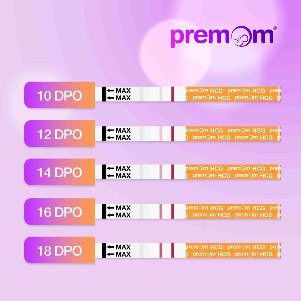 Pregnancy Tests for Accurate Results: Premom