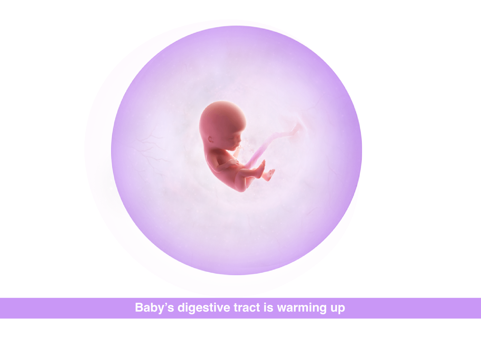 Your Baby and Body at 12 Weeks Pregnant - Premom
