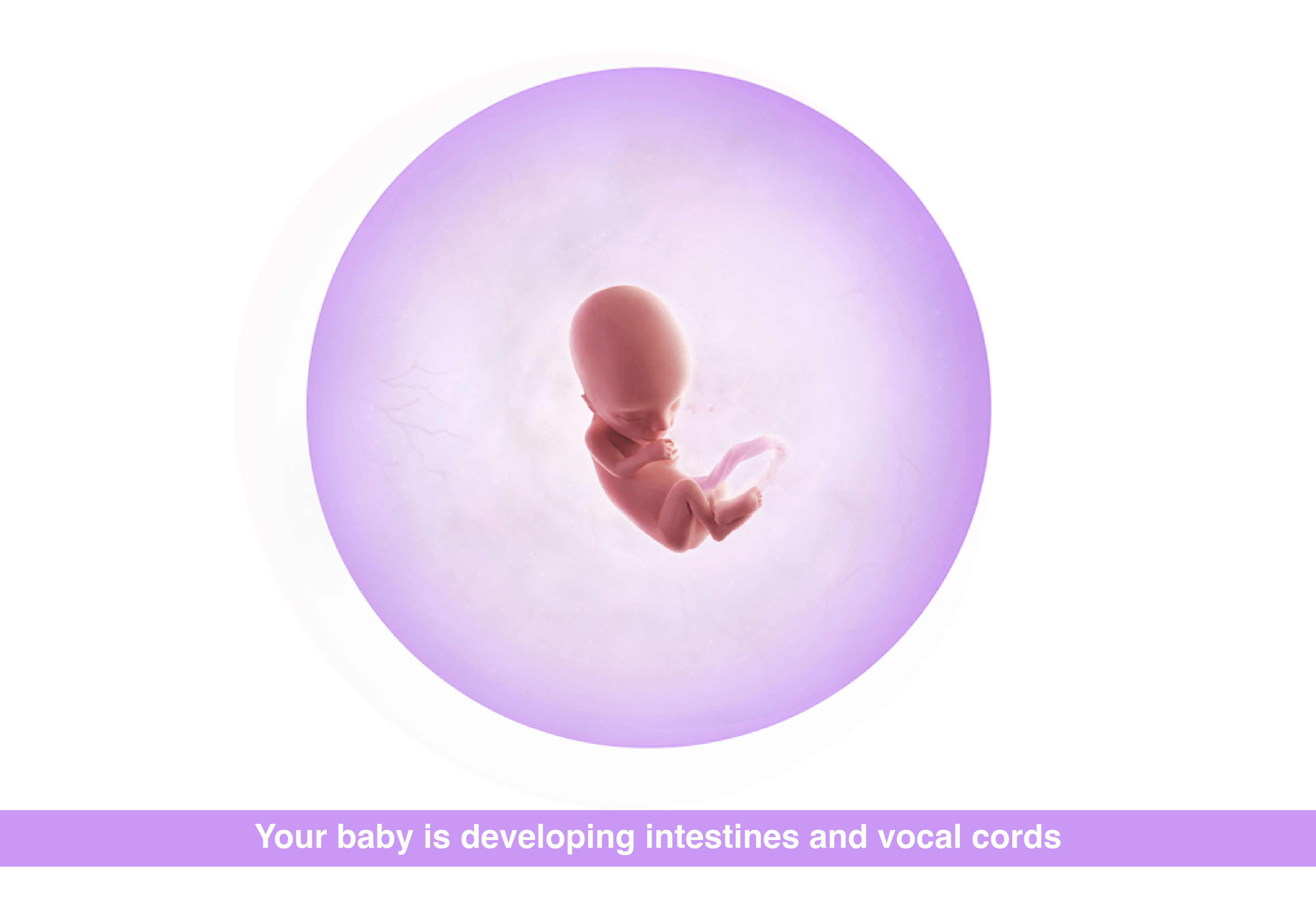 13 Weeks Pregnant – Your Baby, Body & Symptoms: Premom