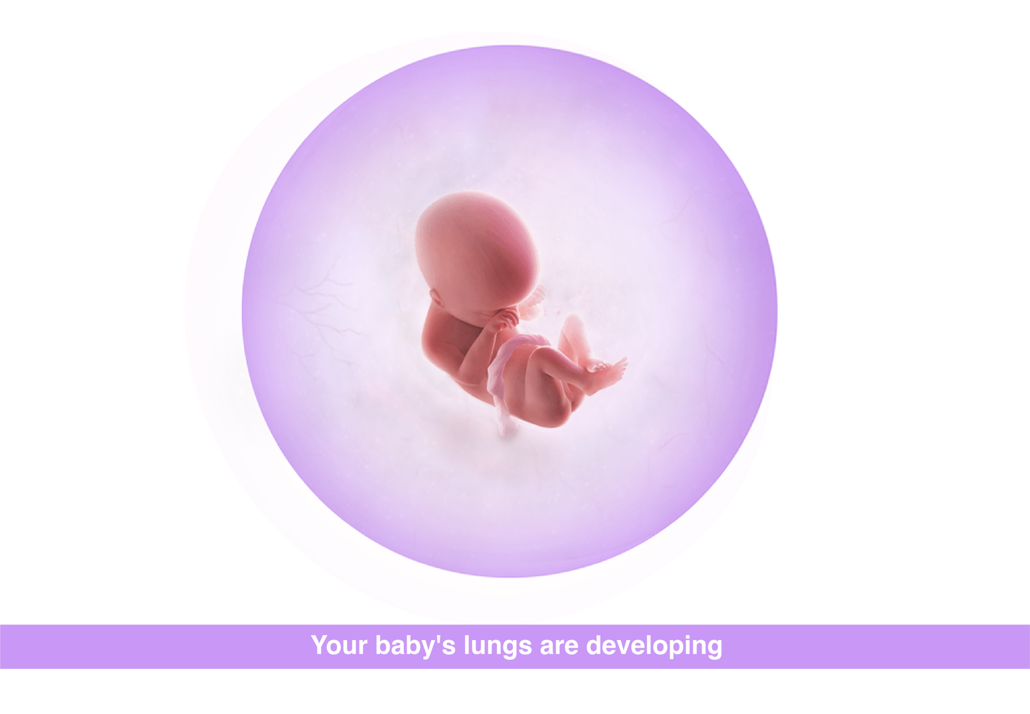 19 Weeks Pregnant – Your Baby, Body & Symptoms: Premom