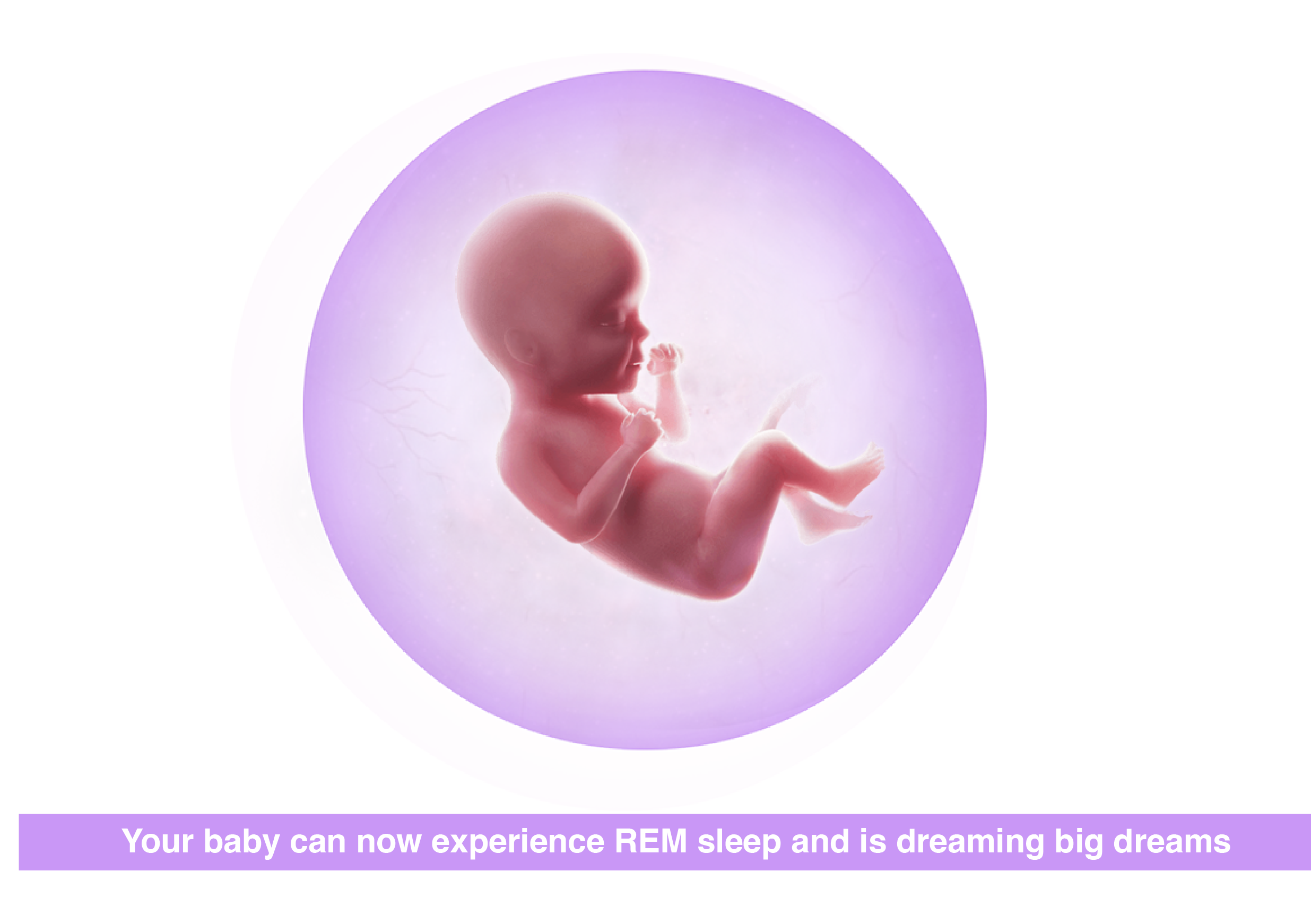 Your Baby and Body at 28 Weeks Pregnant - Premom