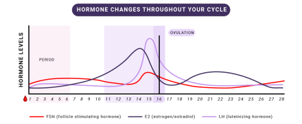 Follicle Stimulating Hormone (FSH) and Fertility: Premom