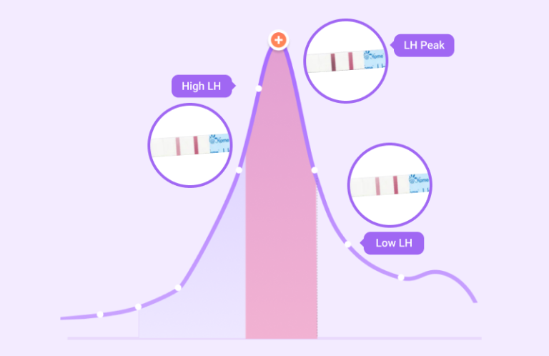 LH Hormone Levels: What is Normal? - Premom