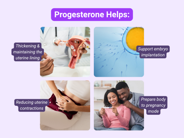 What is progesterone and why it's key to fertility - Premom