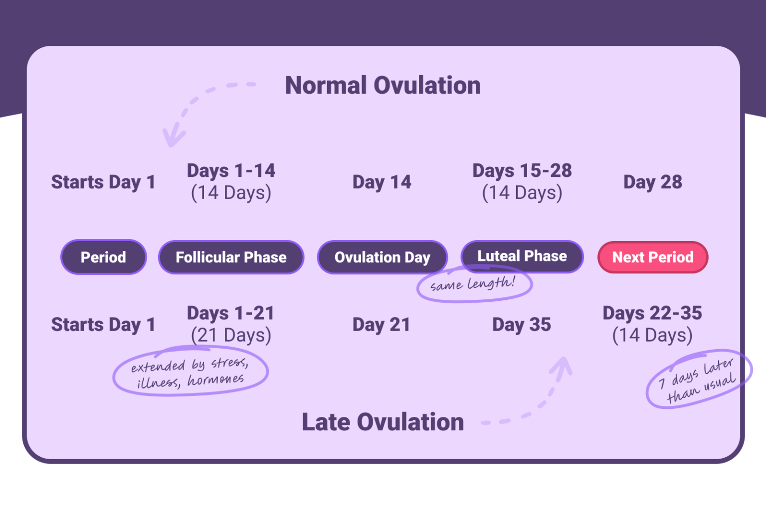 Late Ovulation Pregnancy Success - Premom